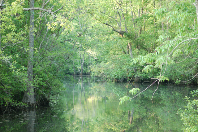 Native American lineage